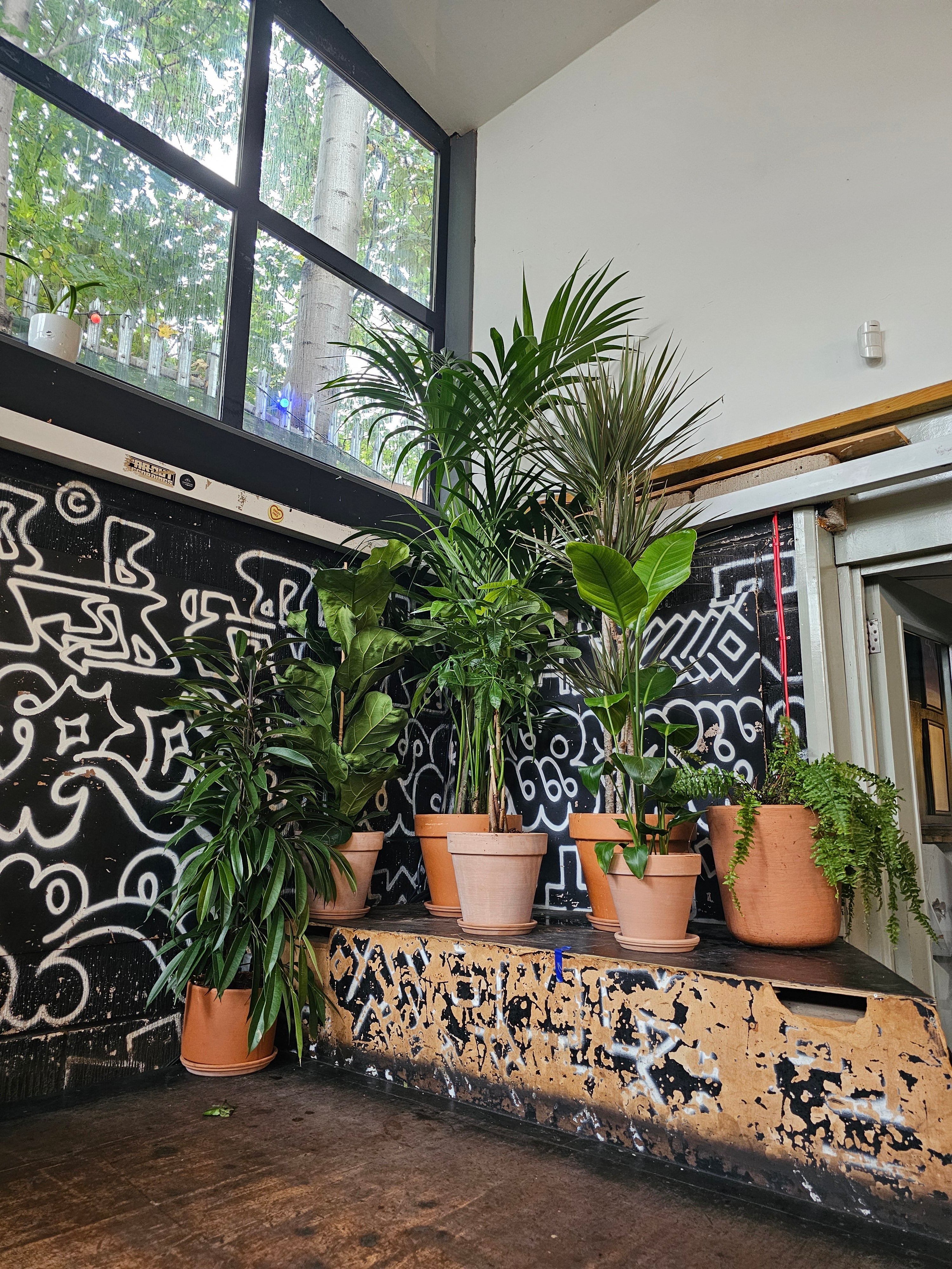 Grow Hackney Wick | Plant installation – Repot Hackney Wick